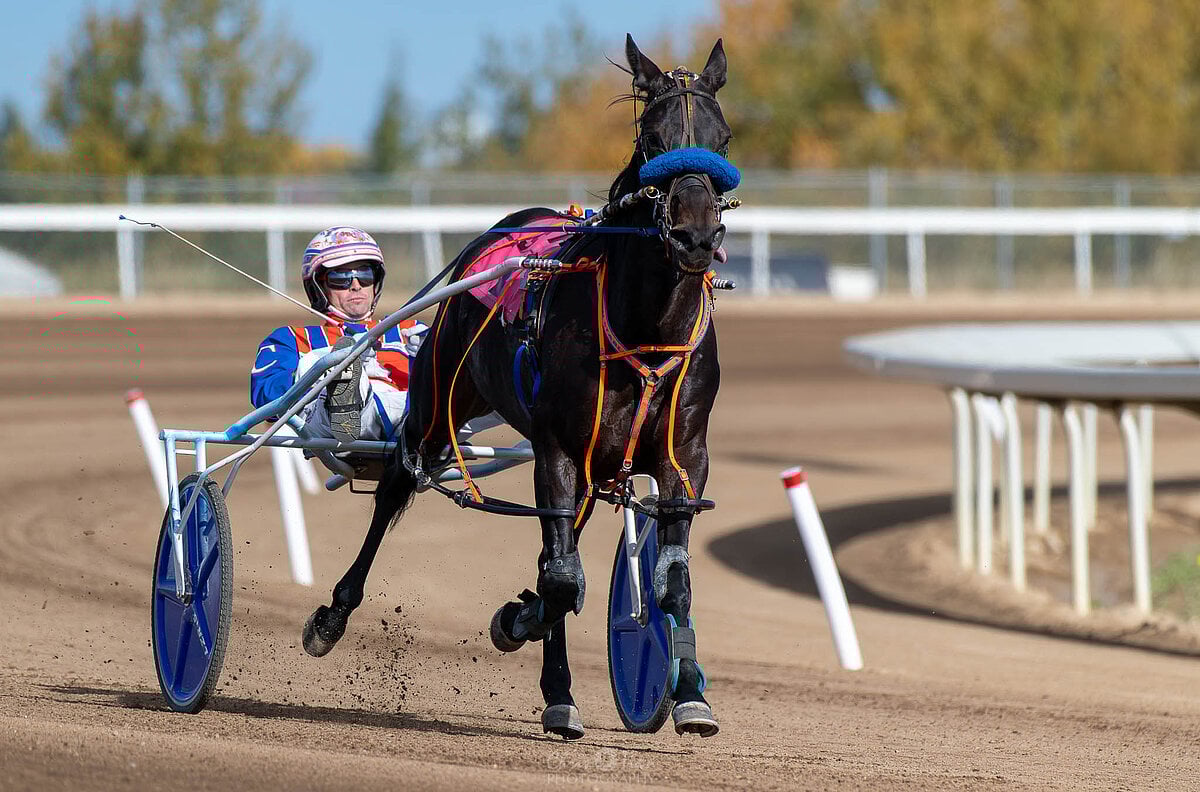 Racing - Century Mile Racetrack and Casino